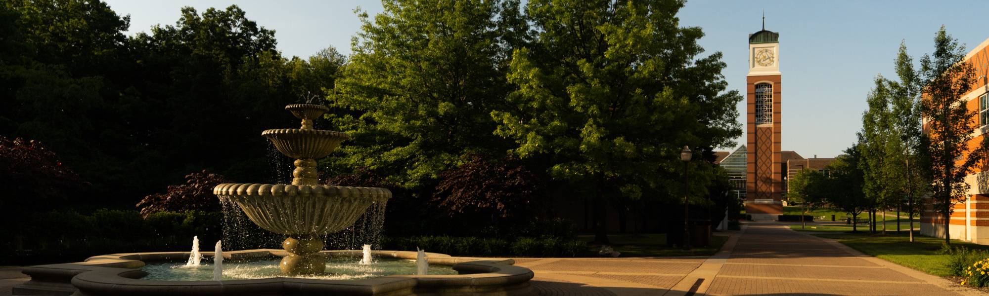 Examples of Hazing - Hazing - Grand Valley State University